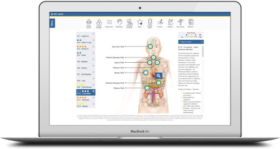 A Free NES Body Scan - Shamarie Body and Mind Therapies